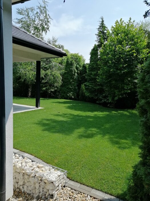 Beneficiile gazonului