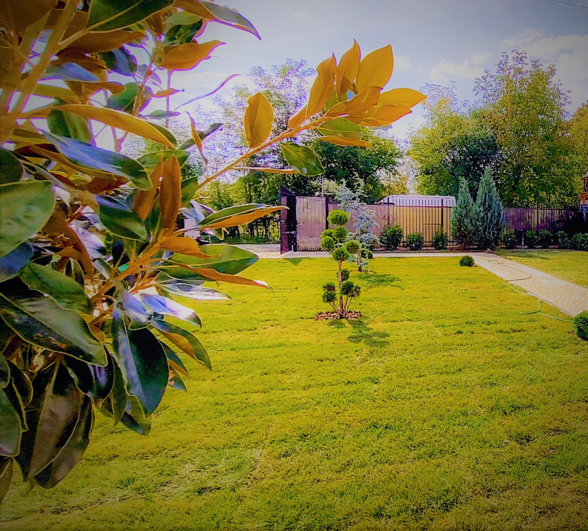 Amenajari gradini Magurele